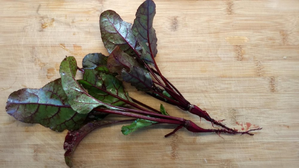 Styrian cheese noodles: a spermidine-rich variant of a traditional ...